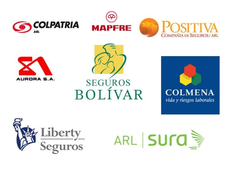 Apoyo de las ARL en el sistema de gestión » SM Safe Mode